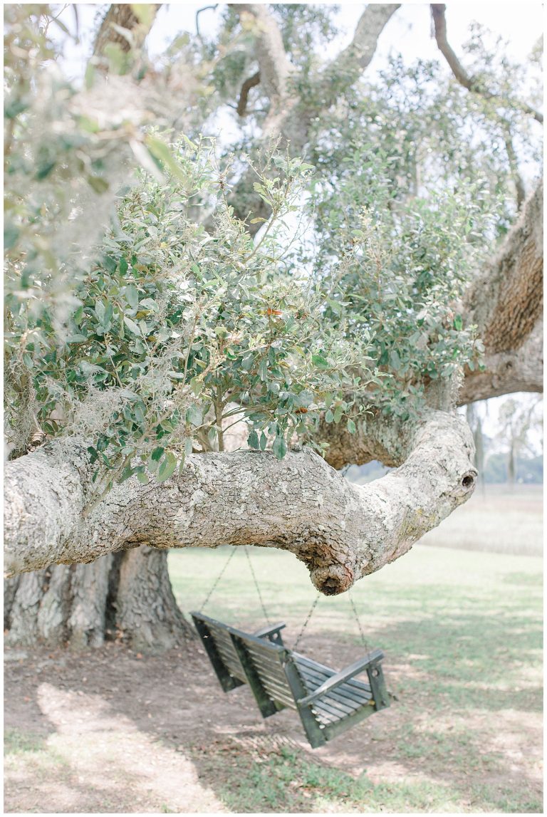 Madison & Jordan | Cypress Trees Plantation - The Wedding Row